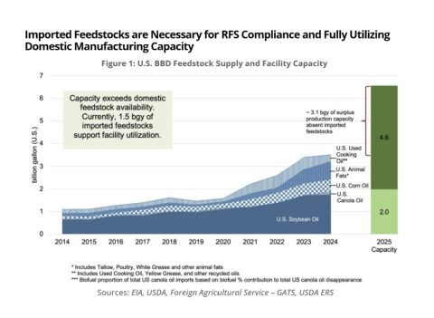 RIN Haircut Debate: How a 50% RIN Credit for Imports Could Reshape ...